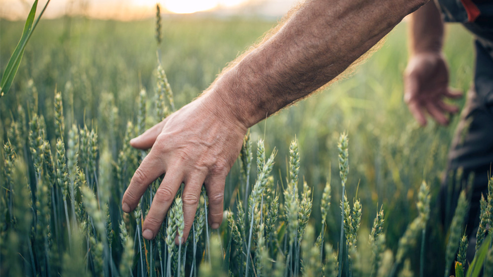 Why Put Land in a Trust? | U.S. Bank