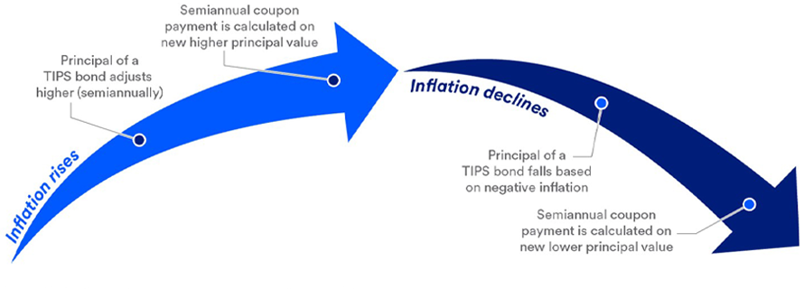 What Are TIPS Bonds? | U.S. Bank