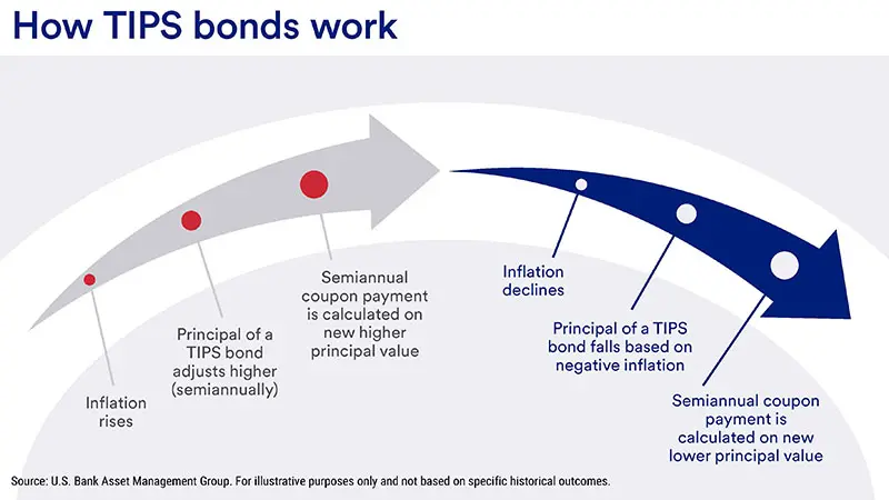 What are TIPS Bonds? | U.S. Bank