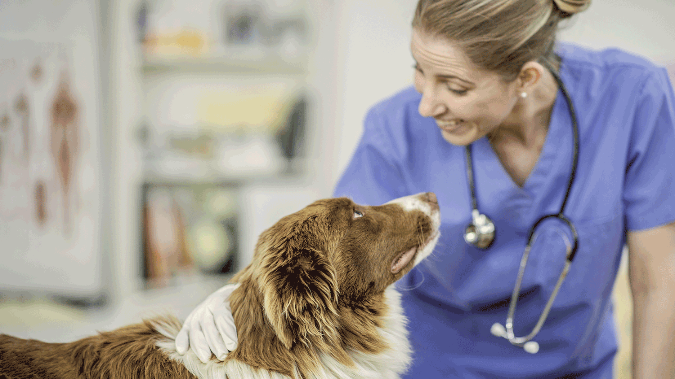 Veterinary Practice Business Loans and Financing | U.S. Bank